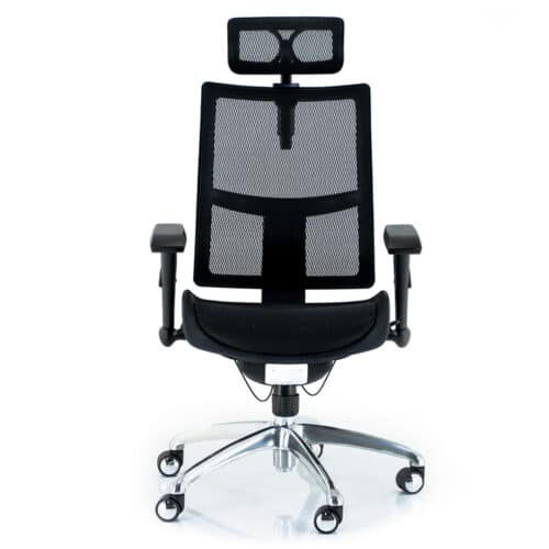 Whistle Executive Office Chair – Full Mesh with Synchro Tilt | Dannys