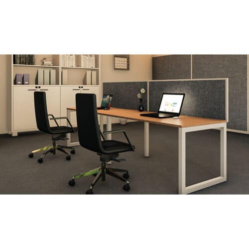 Apex Loop 2 Person Inline Desk Frame – Dual Workstation Base | Dannys