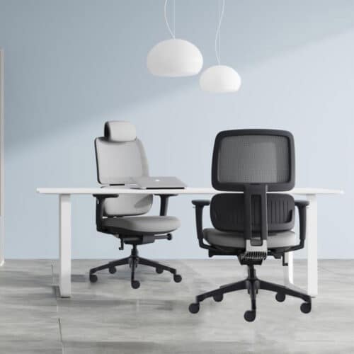Master Executive Chair – Dual Foam & Mesh Back Support | Dannys